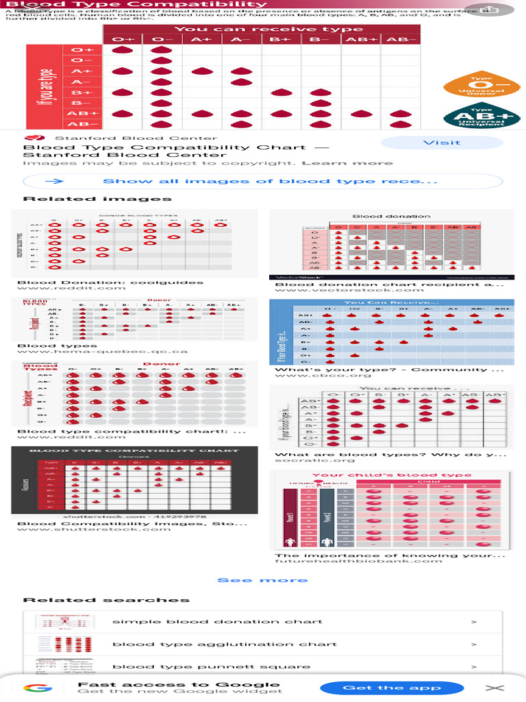 Blood Chart Infographic | PDF | Blood Type | Blood