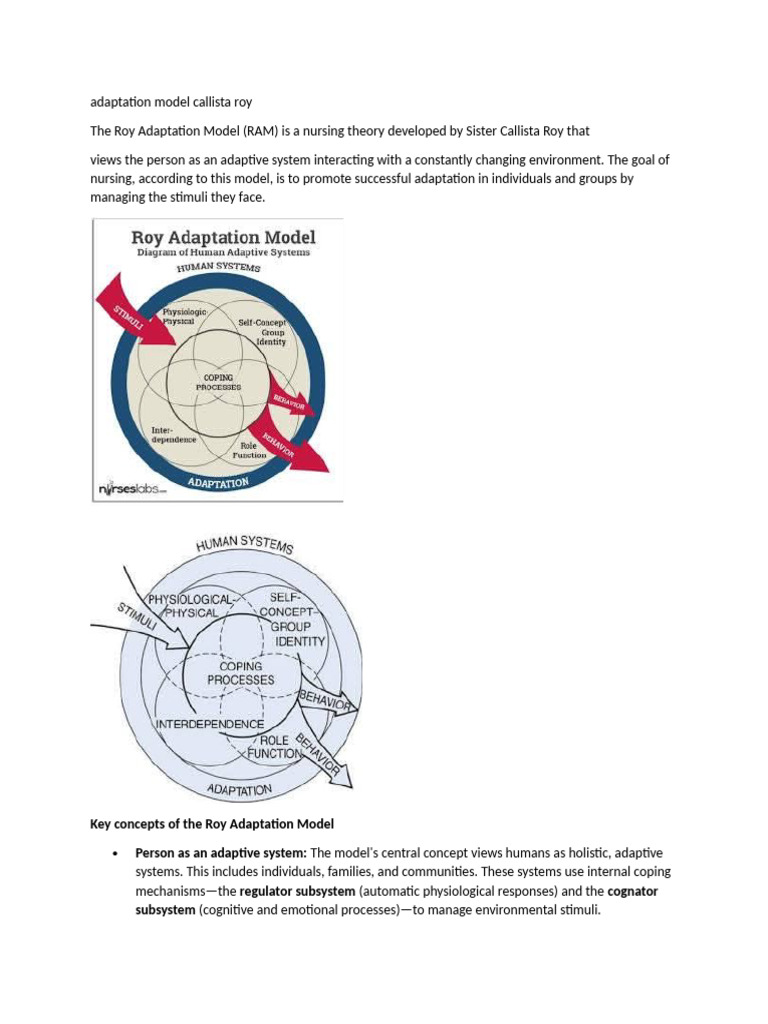 Roy Adaptation Model in Nursing | PDF | System | Stress (Biology)
