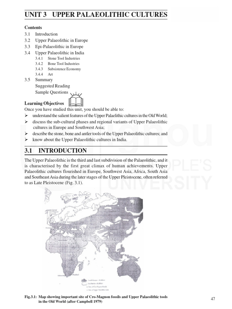 Upper Palaeolithic Cultures Overview | PDF | Paleolithic | Stone Age