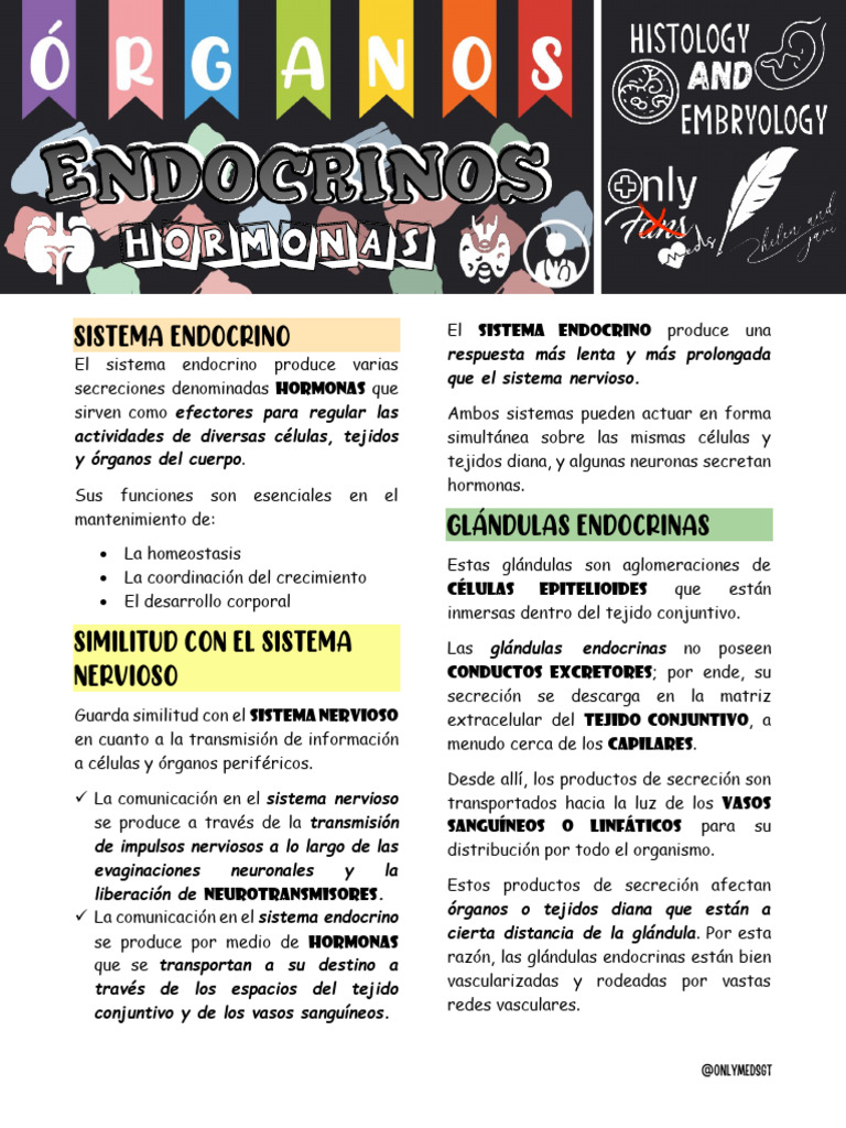 Órganos Endocrinos, Hormonas | PDF | Glándula pituitaria | Receptor (Bioquímica)