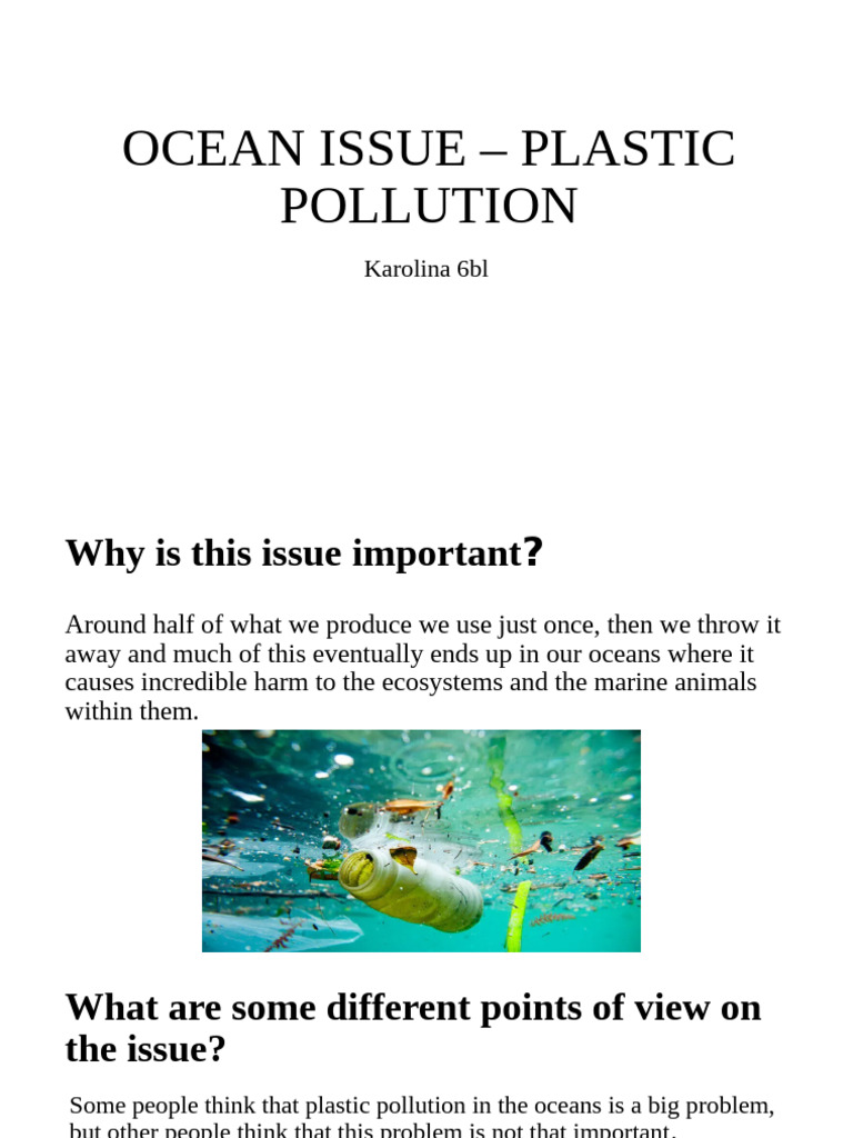 Ocean Issue - Plastic Pollution | PDF