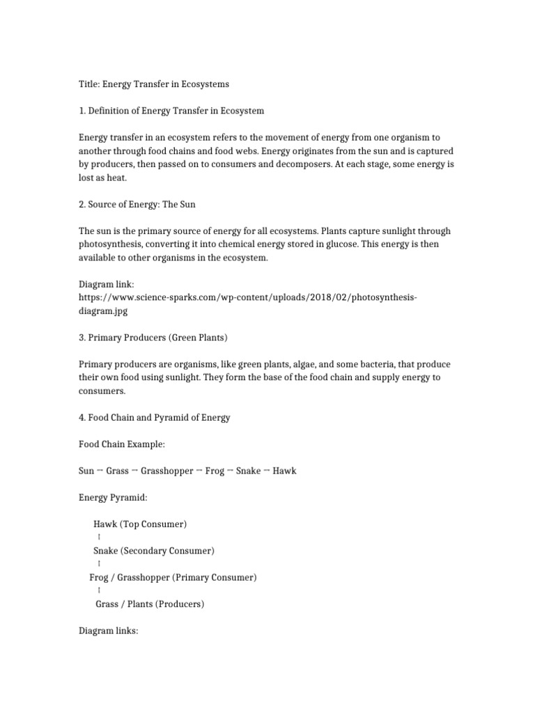 Energy Transfer in Ecosystems | PDF
