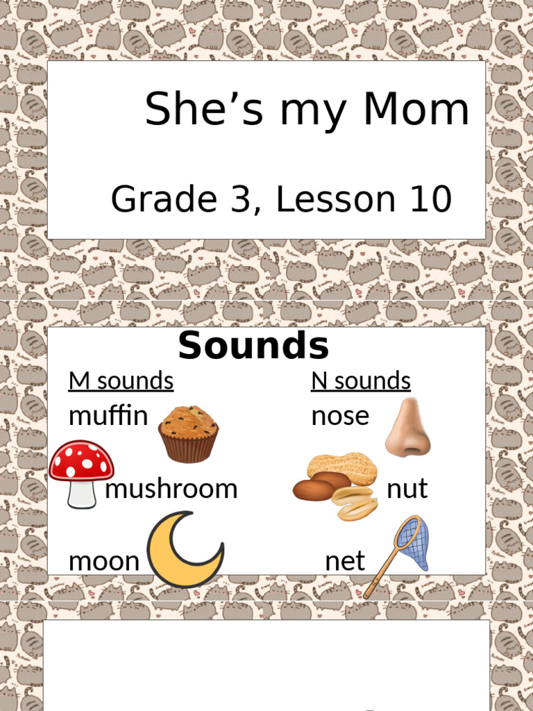 Grade 3 Lesson 10 Intro | PDF