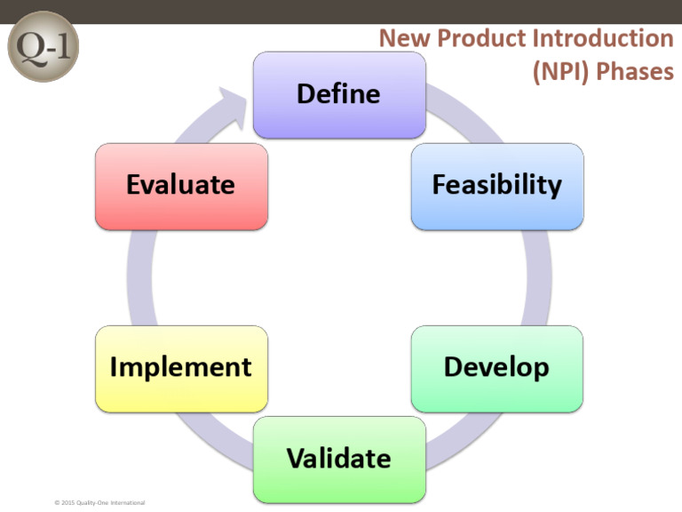 NPI Phases: Define to Evaluate Guide | PDF