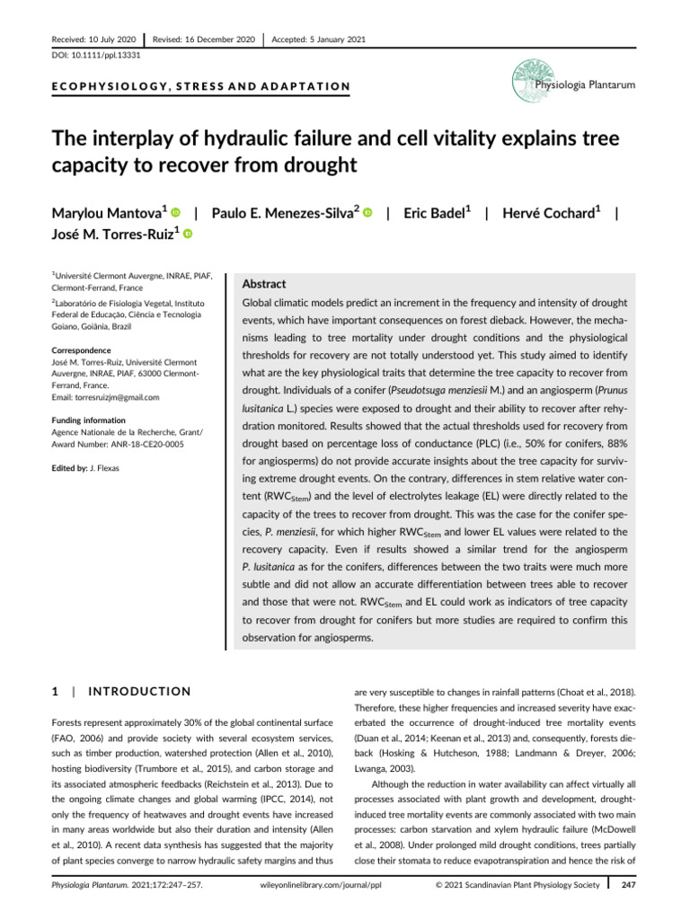 Mantova Et Al. 2021 Phyiologica Plantarum | PDF | Trees | Drought