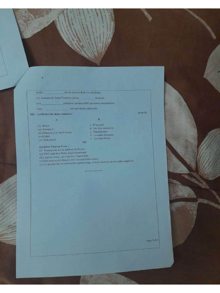 French Grade 10 CBSE Practice Paper | PDF