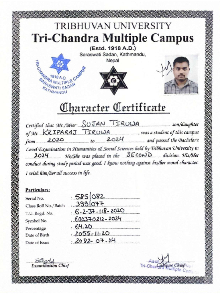 Bachelor Character | PDF