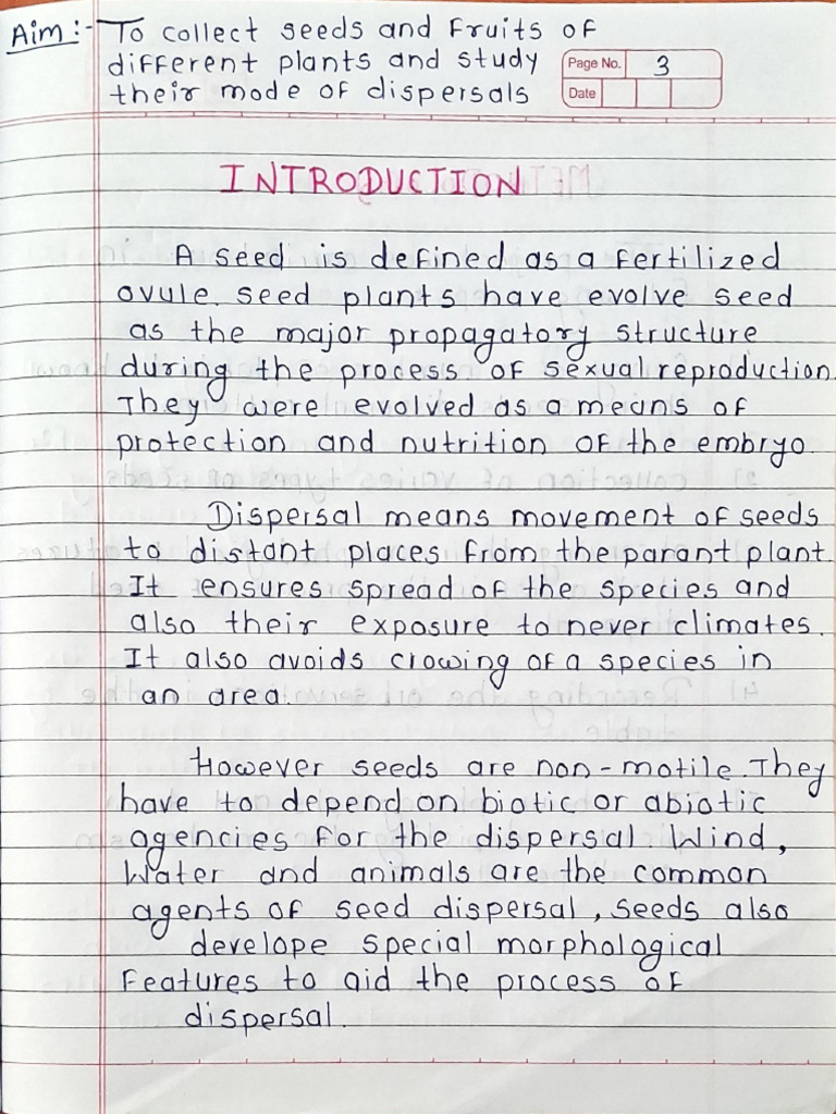12th Biology Project | PDF