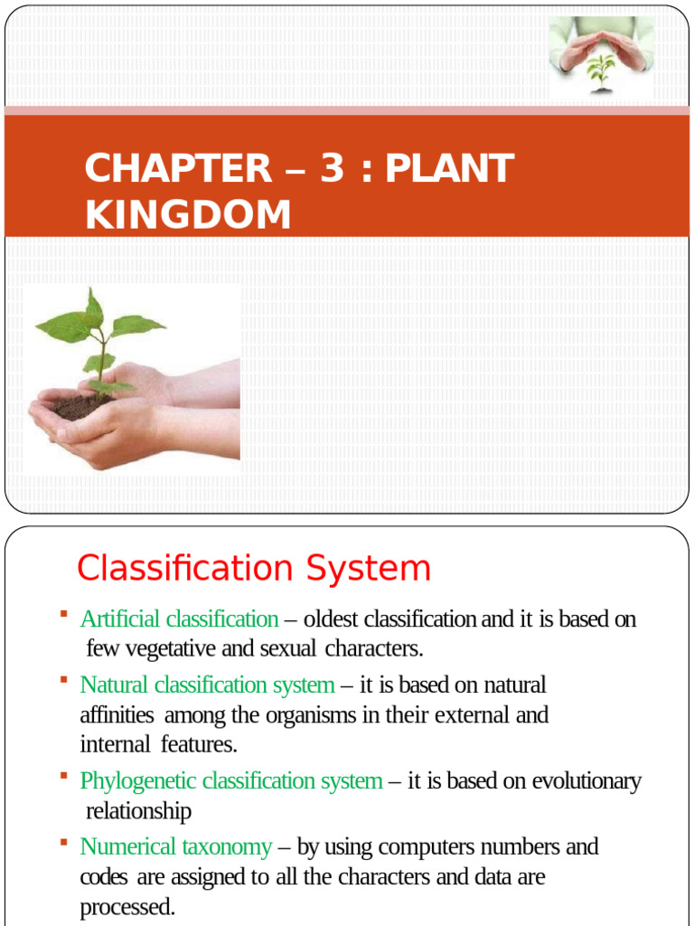 Plant Kingdom Classification Overview | PDF | Moss | Spore