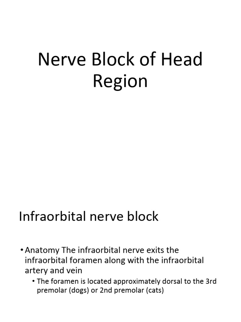 Nerve Block | PDF | Human Nose | Human Head And Neck
