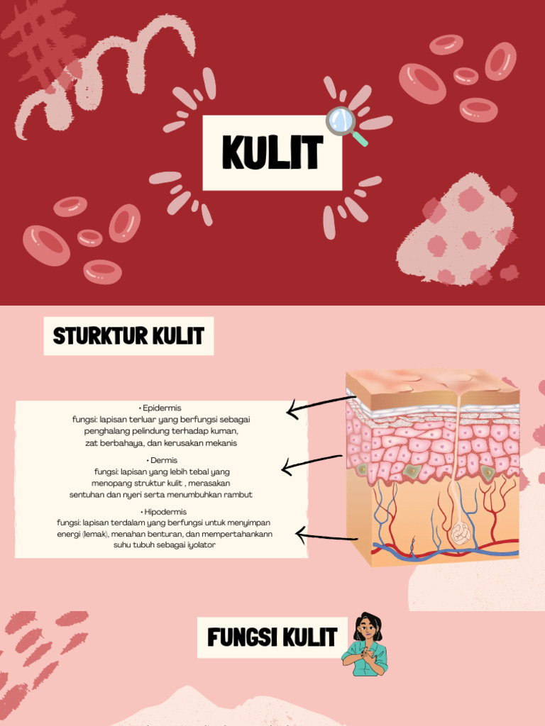 Presentasi IPA Kulit D - 20251016 - 220234 - 0000 | PDF