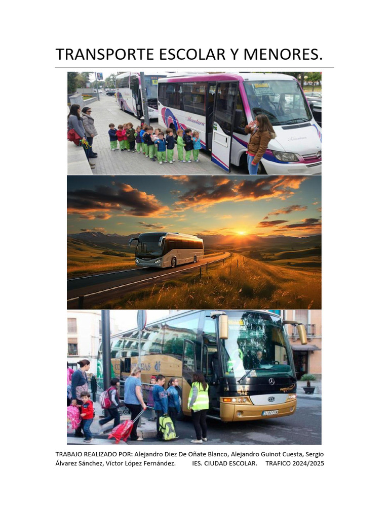Normativa y Seguridad en Transporte Escolar | PDF | Licencia de ...