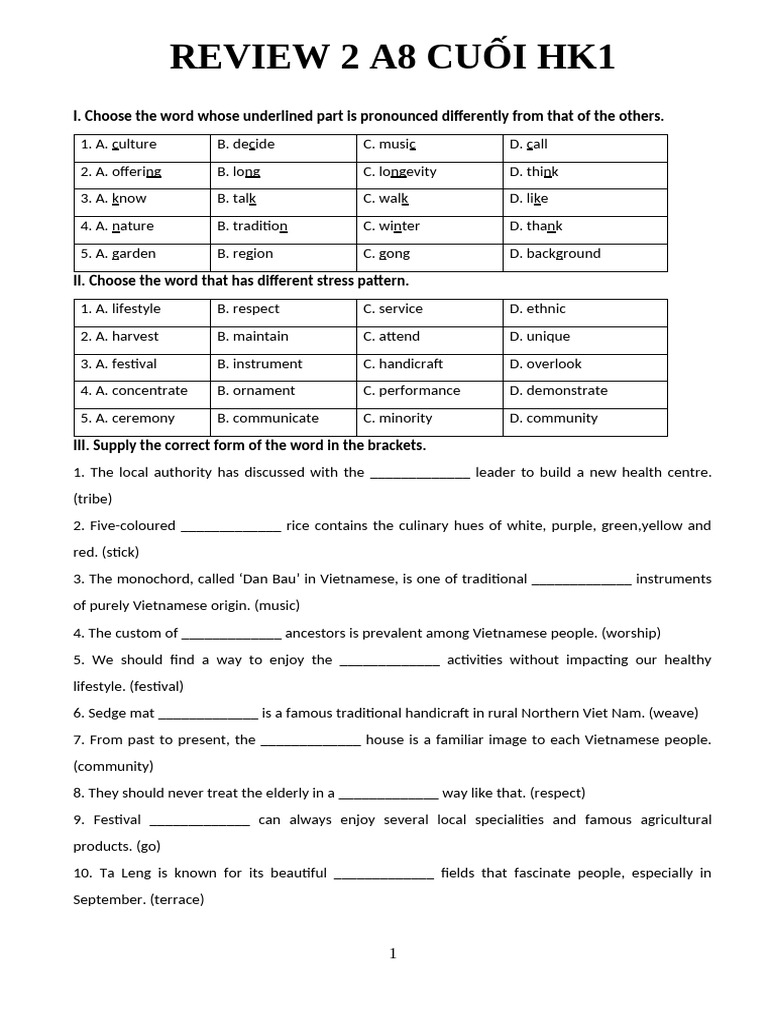 Review Exercises for Vietnamese Language Skills | PDF