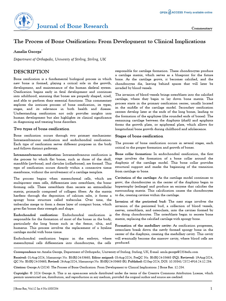 Bone Ossification: Types and Stages Explained | PDF | Bone | Osteoblast