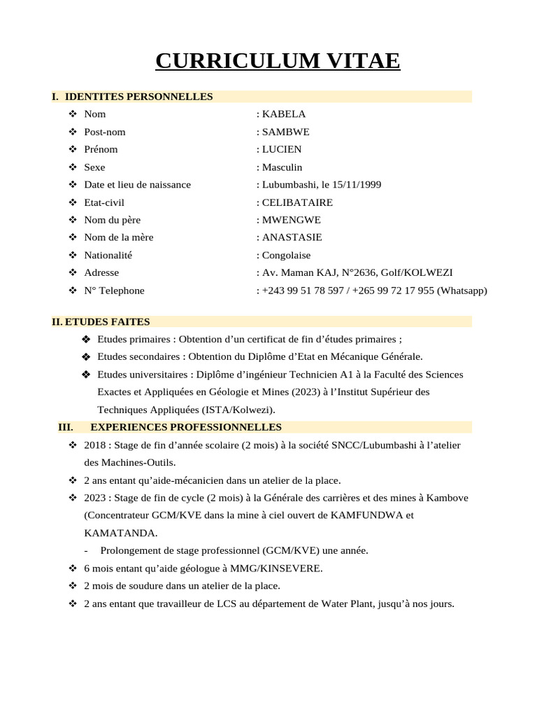 CV de Lucien Kabela Sambwe, Ingénieur | PDF