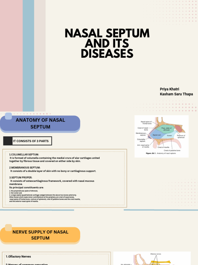 Nasal Septum Anatomy and Disorders | PDF | Human Nose | Otorhinolaryngology