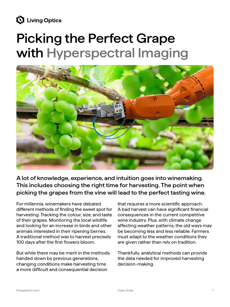 LO_Case_study-Picking the Perfect Grape-final | PDF | Winemaking