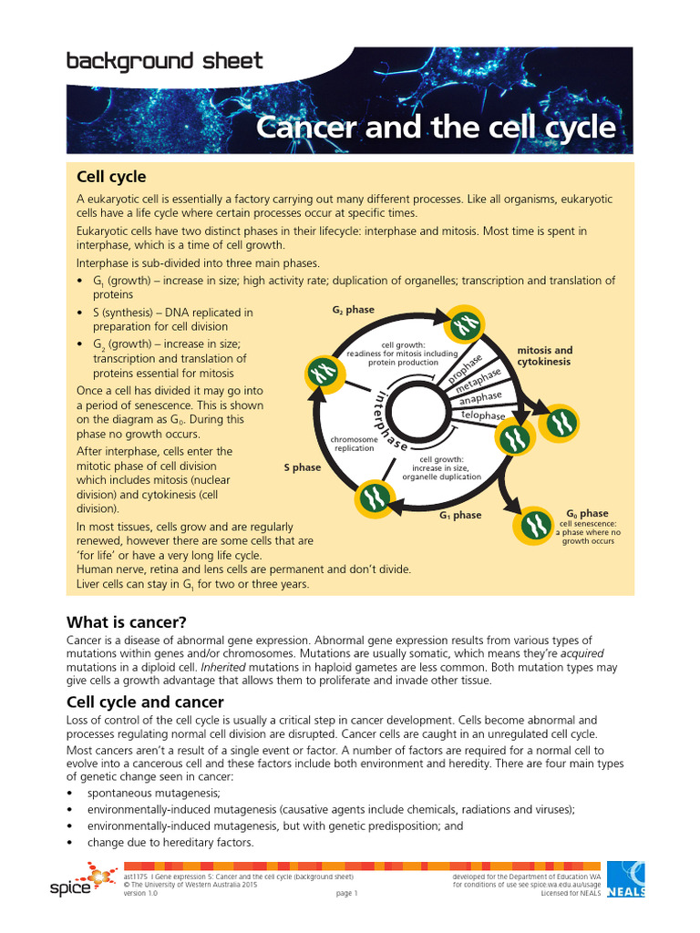 Cancer and Cell Cycle Overview | PDF | Cell Signaling | Mitosis