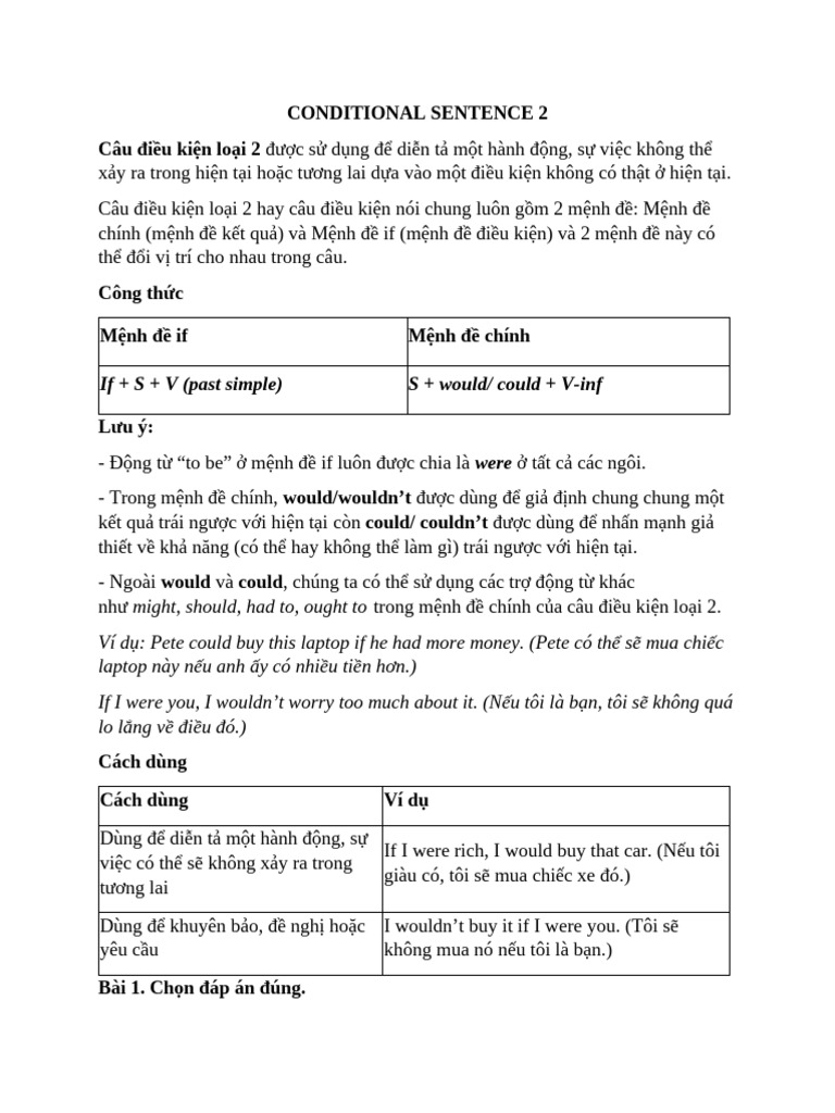 Conditional Sentence 2 | PDF