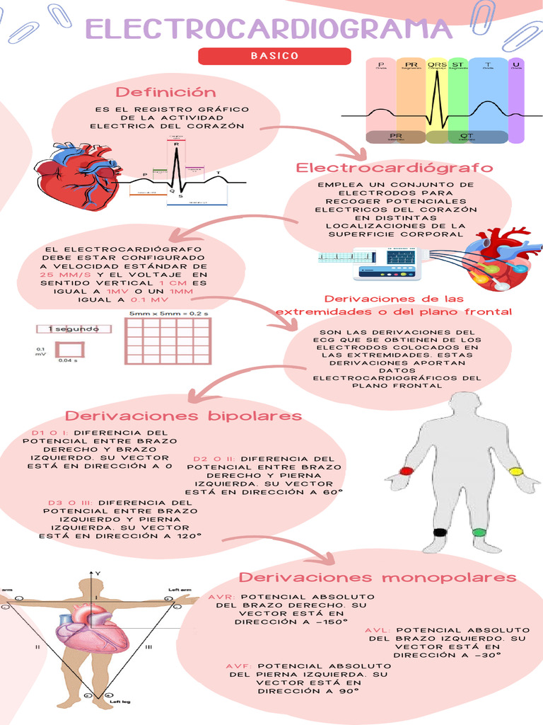Electrocardiograma: Guía Básica y Derivaciones | PDF ...
