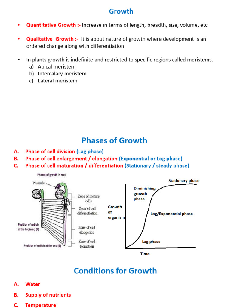 Understanding Plant Growth and Development | PDF | Auxin | Plant Hormone