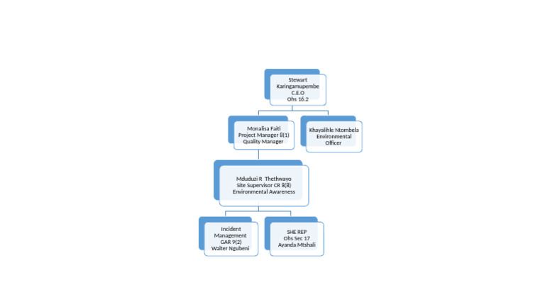 Company Organogram | PDF