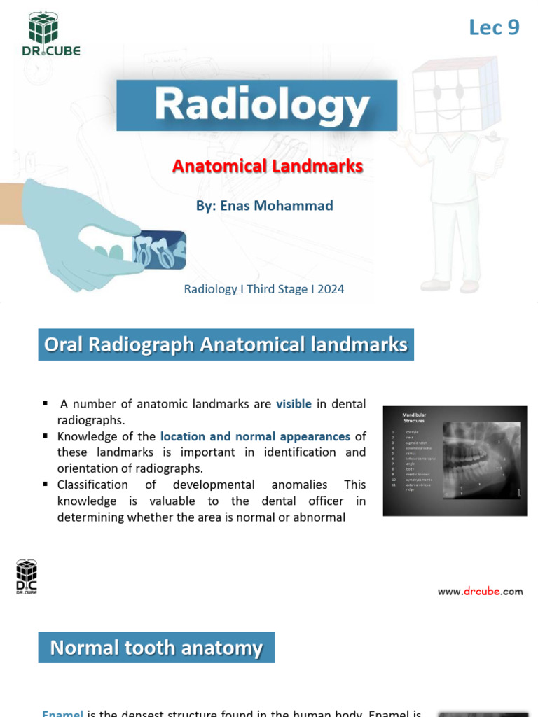 Radiology Lec.9 Anatomical Landmarks | PDF | Human Tooth | Dental Anatomy