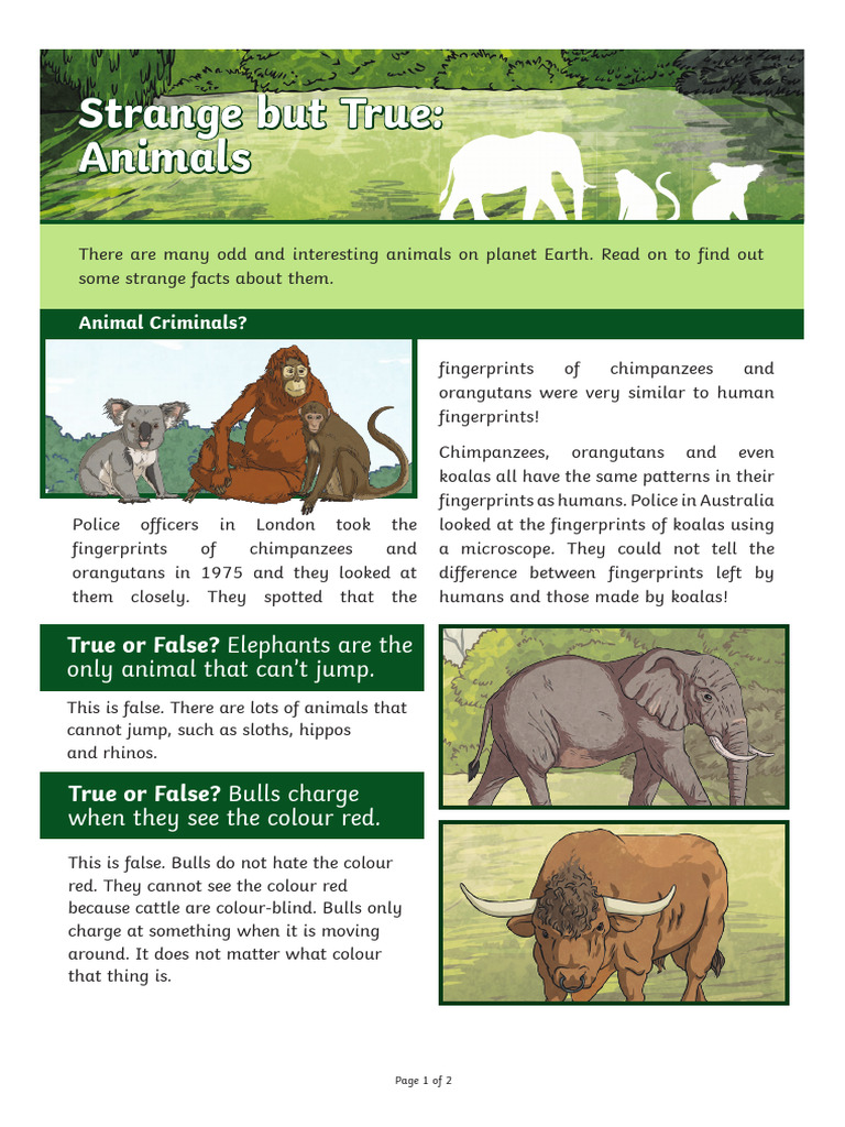 Strange But True Animals Differentiated Reading Comprehension Activity ...