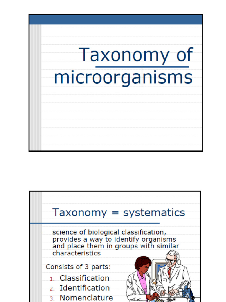 Lecture 2-Taxonomic Classification 1 | PDF