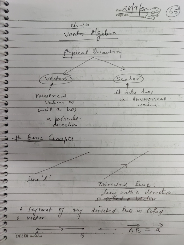 Vector Algebra Notes | PDF