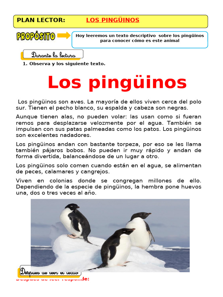 u8 s1 Ficha d4 Plan Lector Los Pinguinos | PDF | Pingüino | Aves