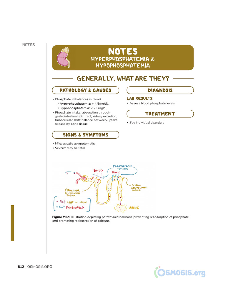 Hyperphosphatemia - Video, Causes, & Meaning - Osmosis | PDF