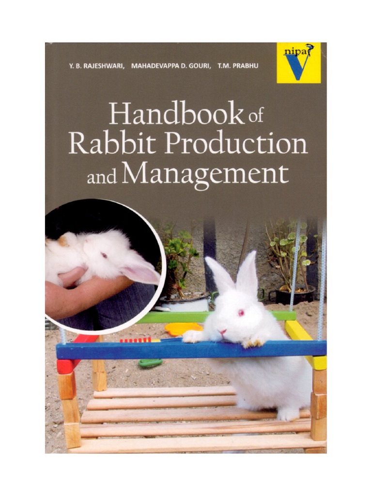 Rabbit Production and Management | PDF