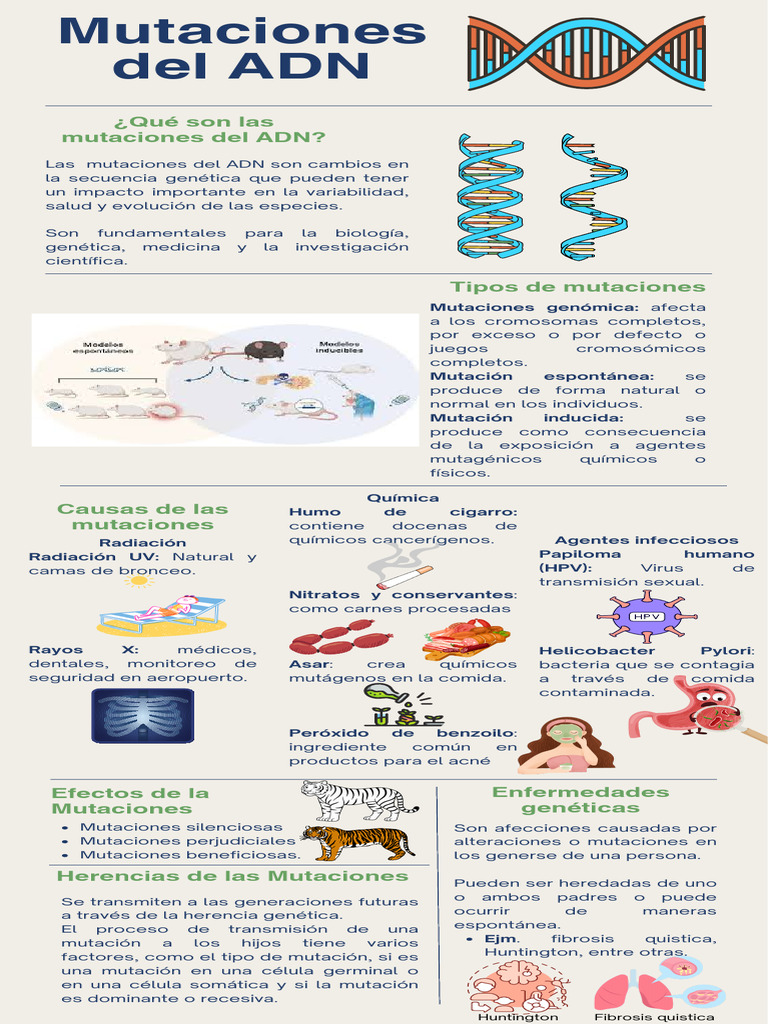Mutaciones Del ADN | PDF | Mutación | Mutageno