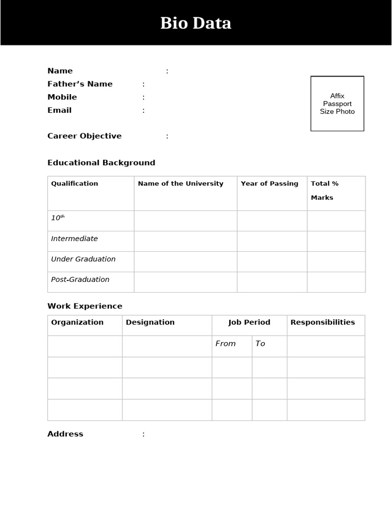 Professional Bio Data Template | PDF