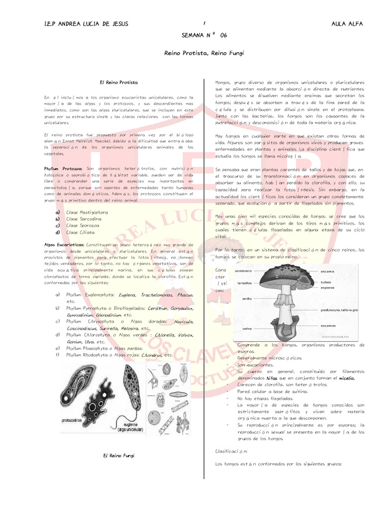 Biologia Alfa 1 | PDF | Algas | Hongo