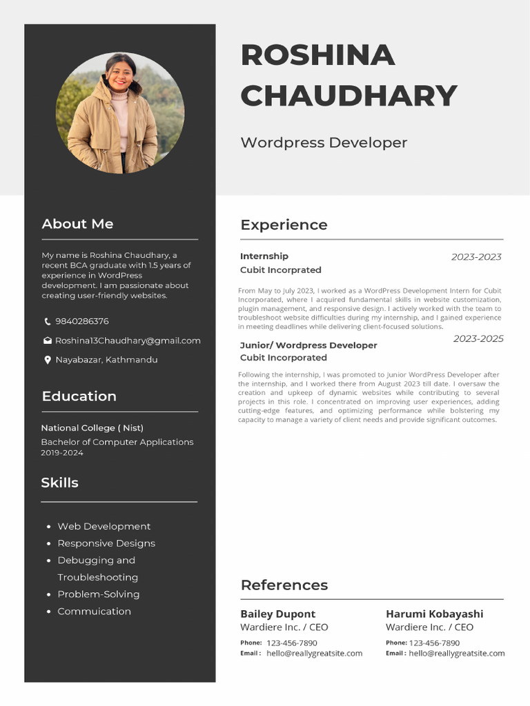 Professional CV Resume | PDF
