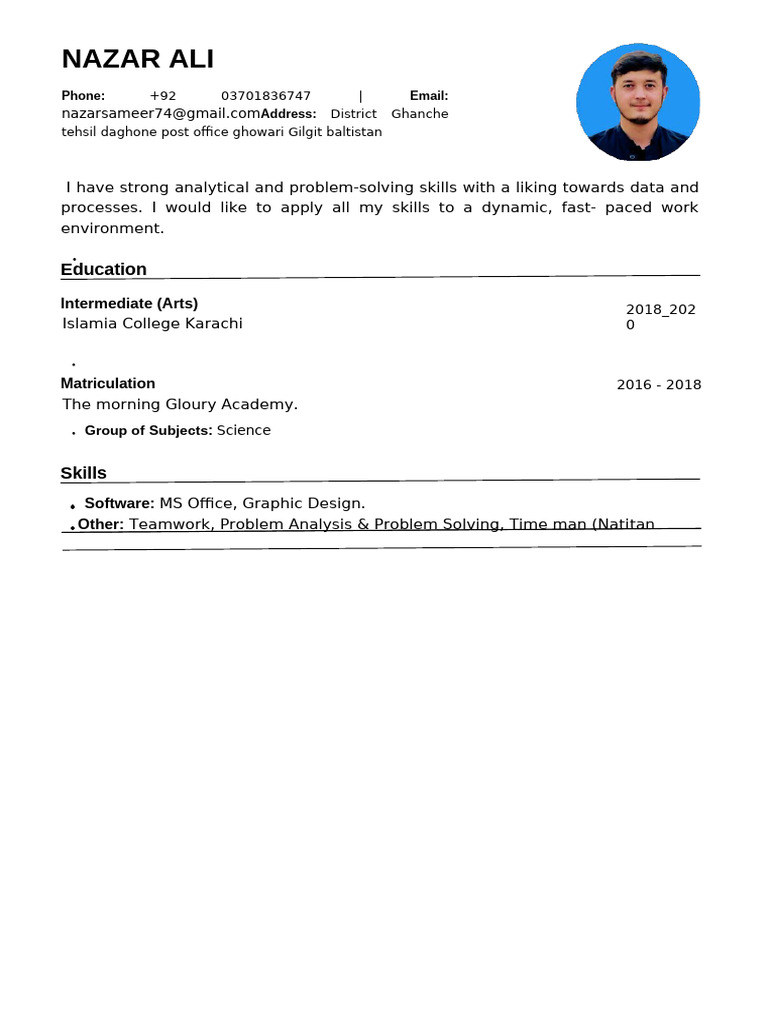 Nazar Ali - Resume and Skills Overview | PDF