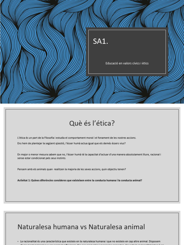SA1 Presentació | PDF