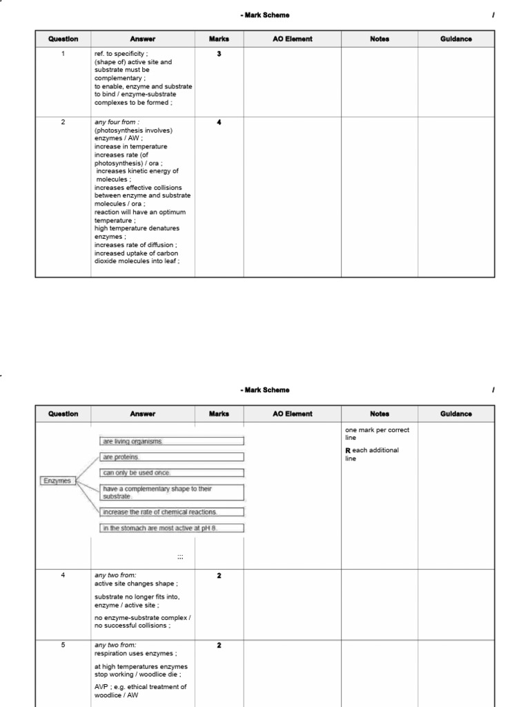 Unit 5 Enzymes Test Maker MS | PDF | Enzyme | Active Site