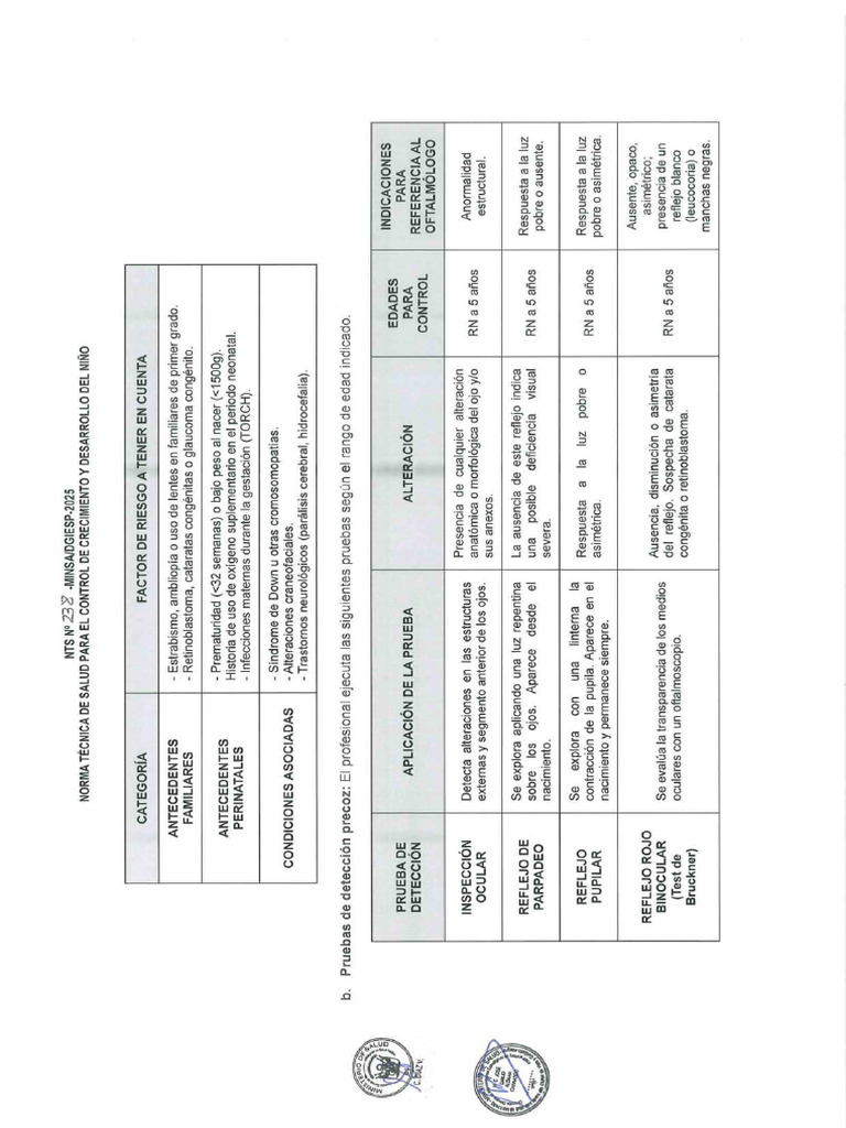 Norma Tecnica de Cred 2025 | PDF