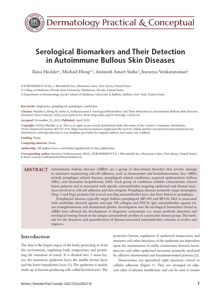 Autoimmune Bullous Skin Diseases Overview | PDF | Elisa | Skin