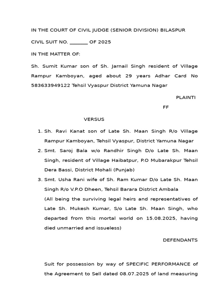 Civil Suit for Land Possession 2025 | PDF | Lawsuit | Legal Remedy
