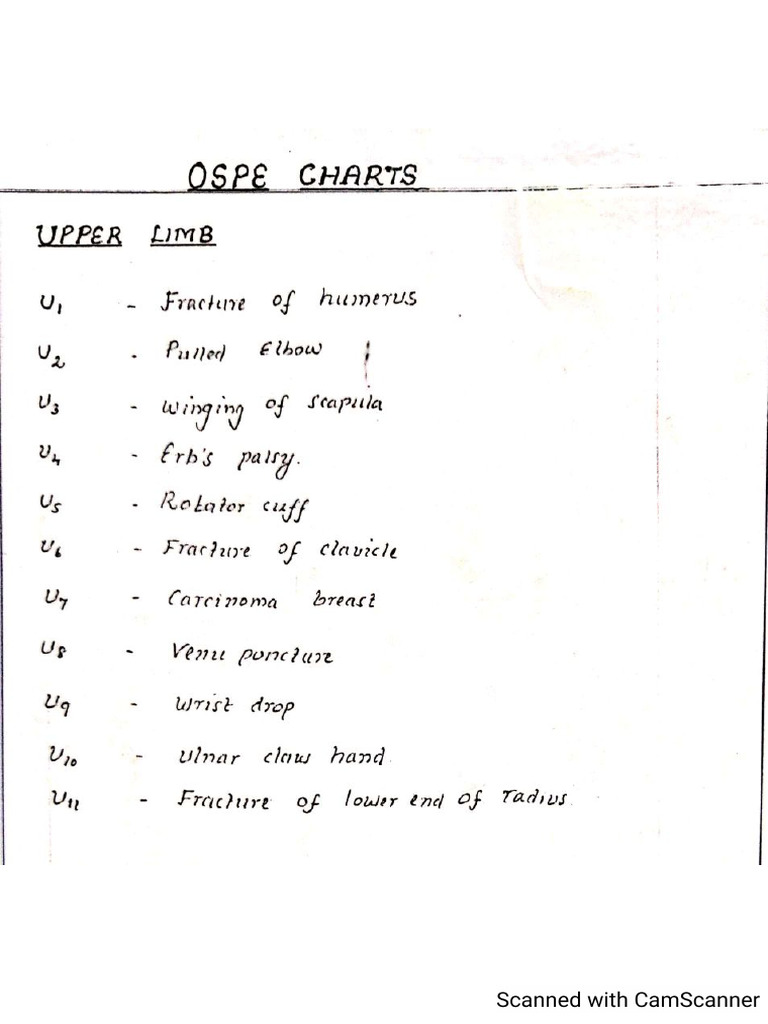 UL OSPE Charts | PDF