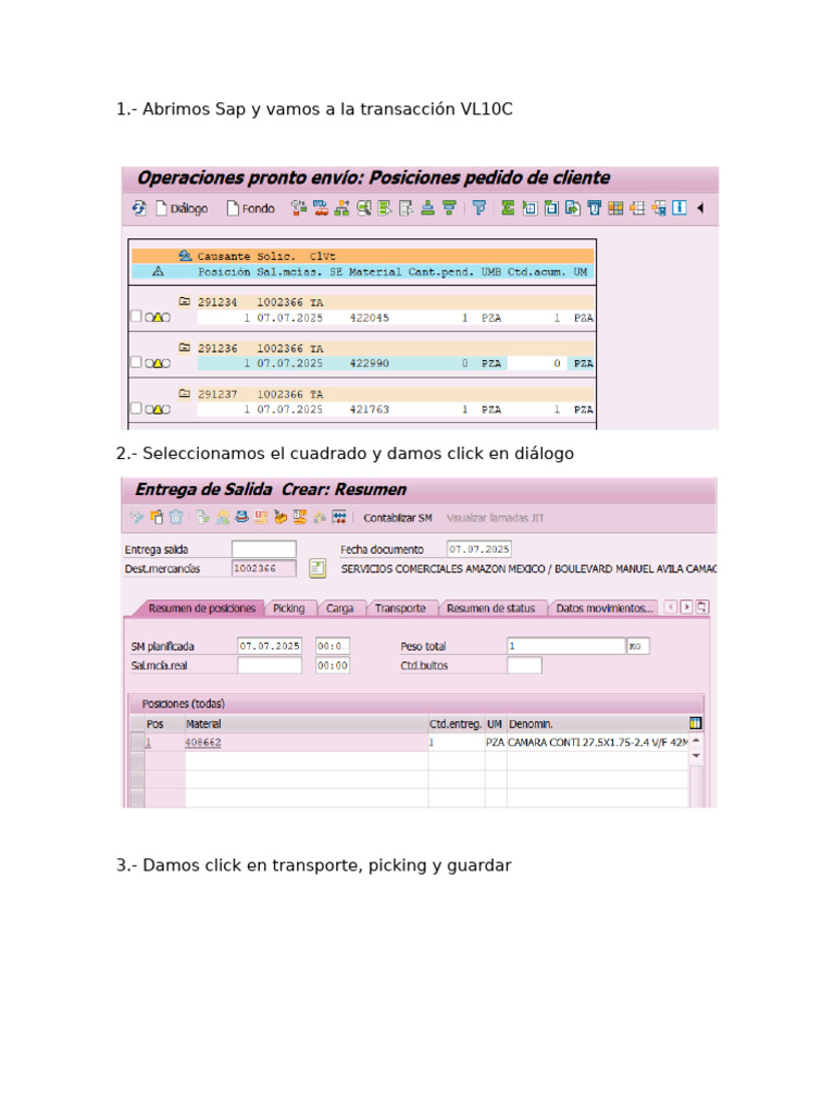 Guía para usar transacciones VL10C y VL02N en SAP | PDF
