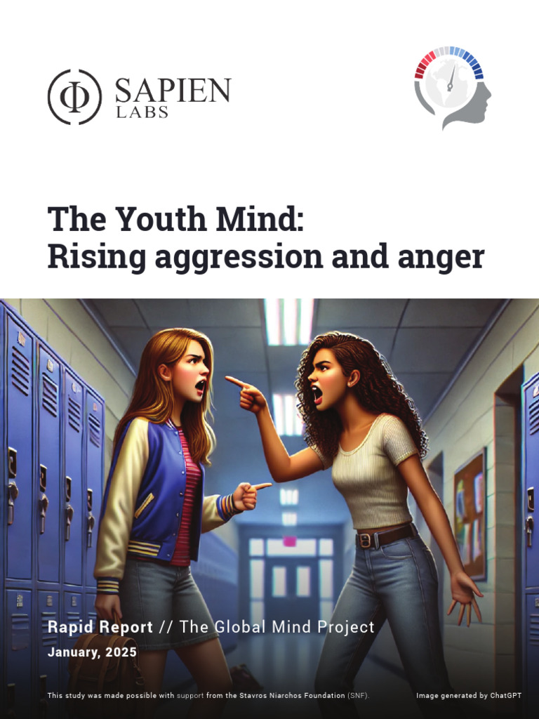 Sapien Labs Report The Youth Mind Rising Aggression and Anger 2 | PDF ...