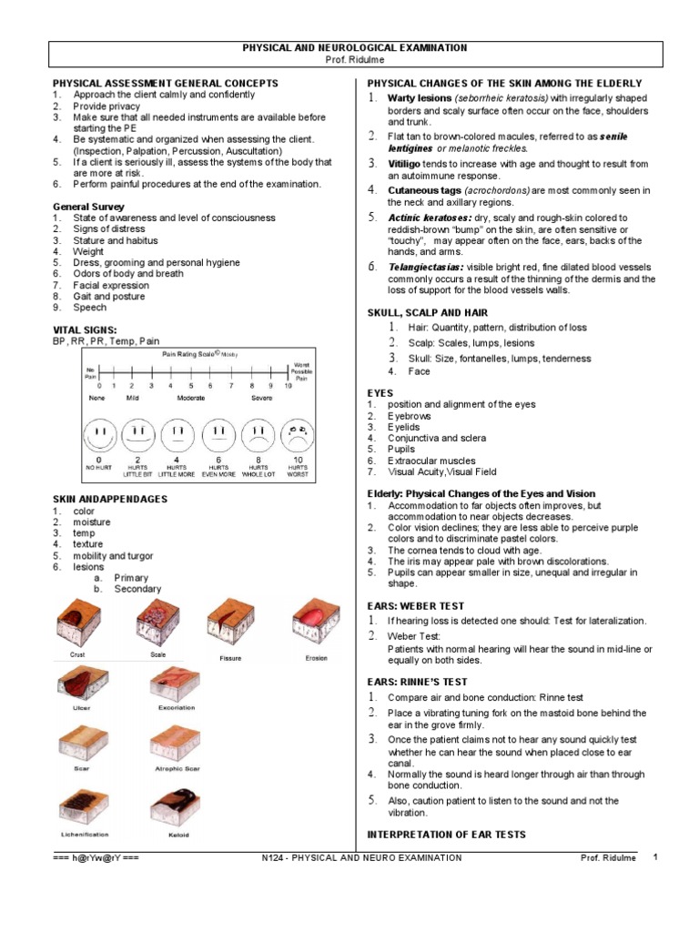 Comprehensive Physical Examination Guide | PDF | Respiratory Tract | Lung
