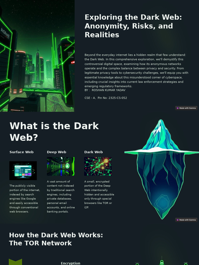 23259-CS-052- Exploring-the-Dark-Web-Anonymity-Risks-and-Realities ...