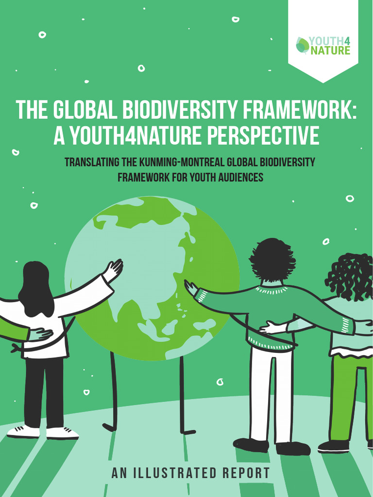 The+Global+Biodiversity+Framework a+Y4N+Perspective Illustrated+Report+ ...