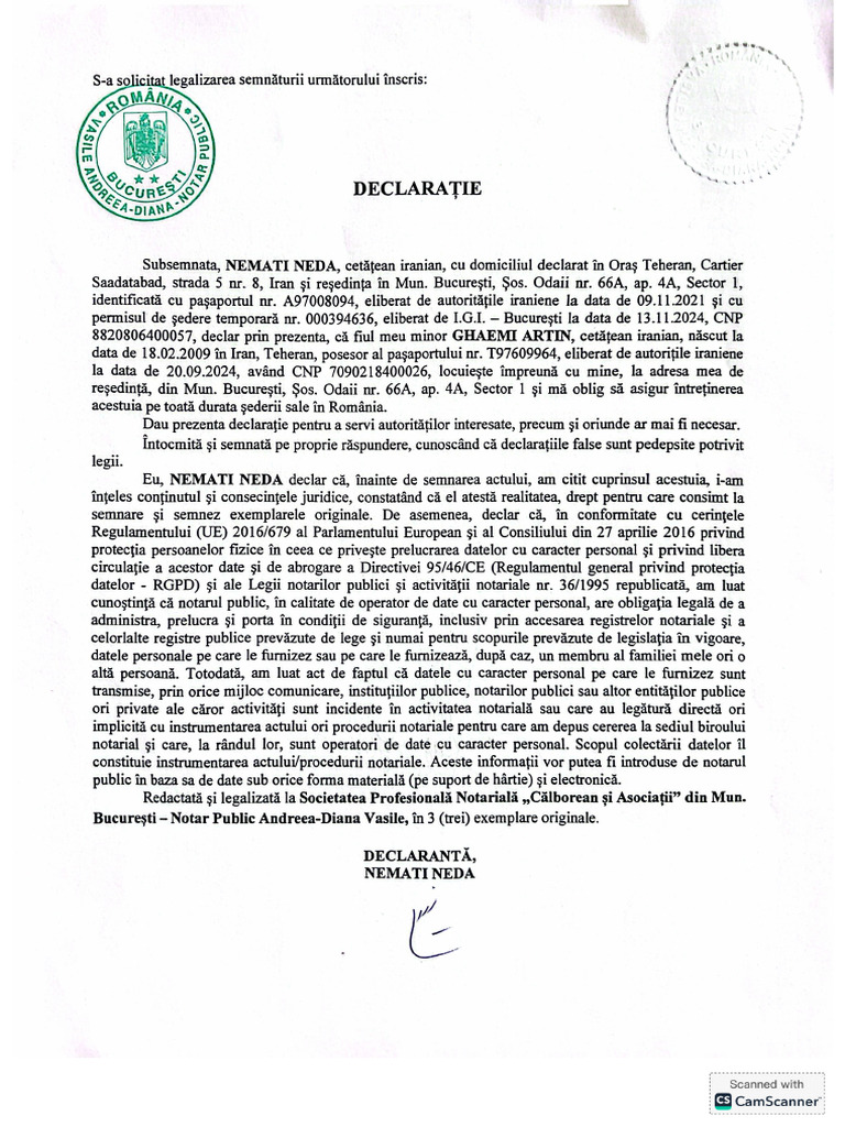 Declaratie Artin | PDF